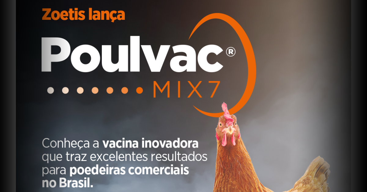 Zoetis lança Poulvac Mix 7 e eleva o padrão de imunização em poedeiras ...